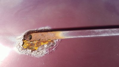 Rusted roof | Ford Expedition Forum