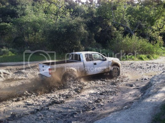 Some new mudding pictures | Ford Expedition Forum